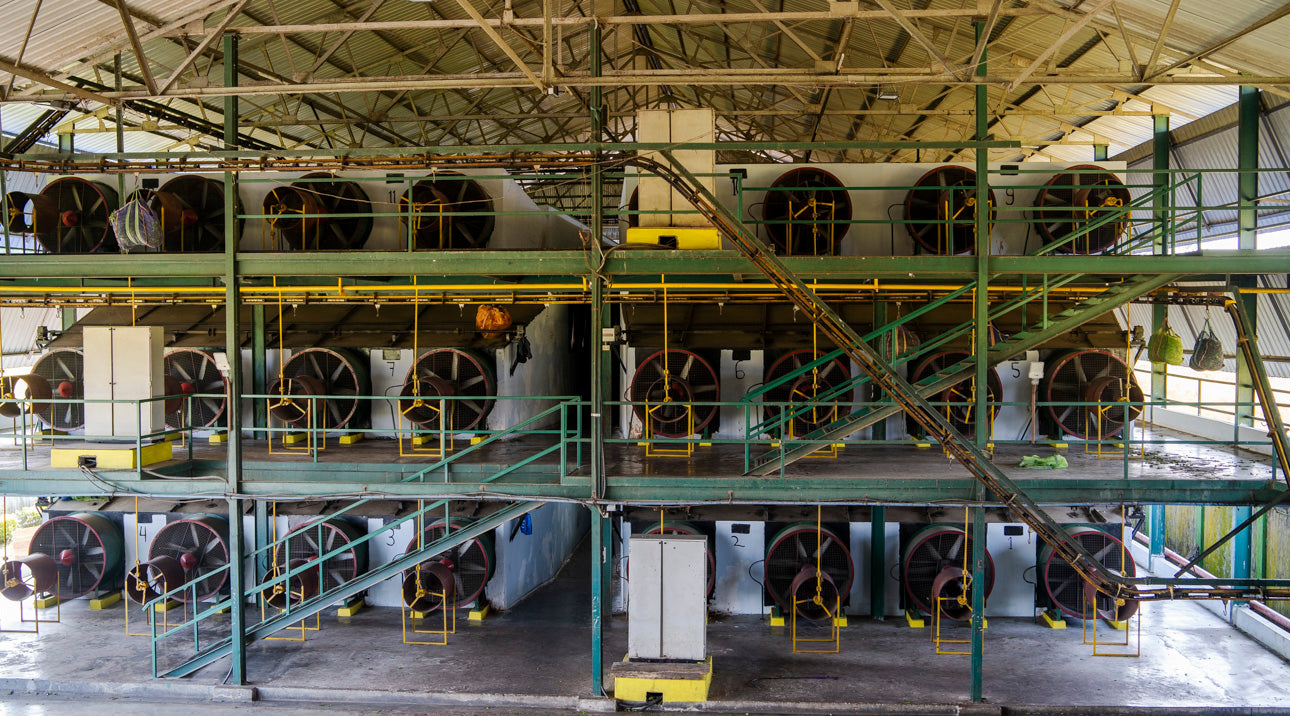 Diraaz Tea Experts | Premium Teas & Custom Blends | Lucknow